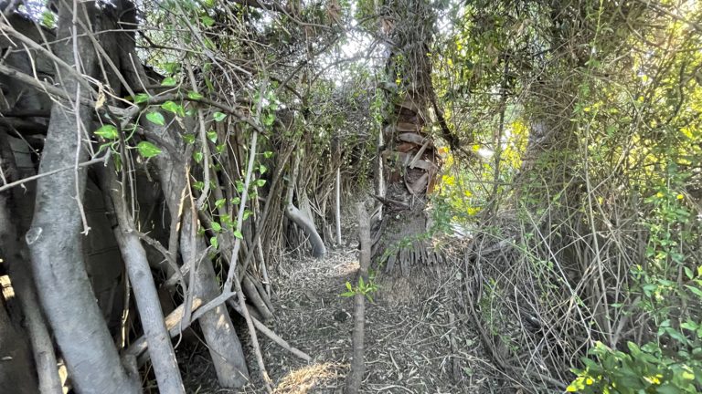 Sunscope Entertainment - Your Source for Captivating Audiences Worldwide