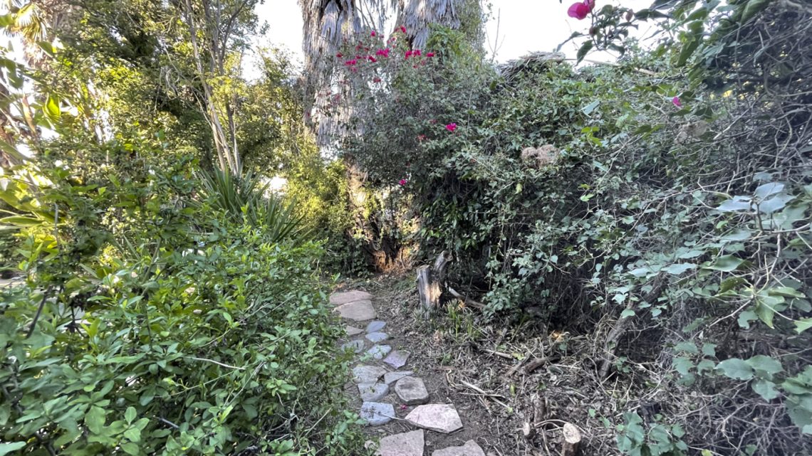 Sunscope Entertainment - Your Source for Captivating Audiences Worldwide